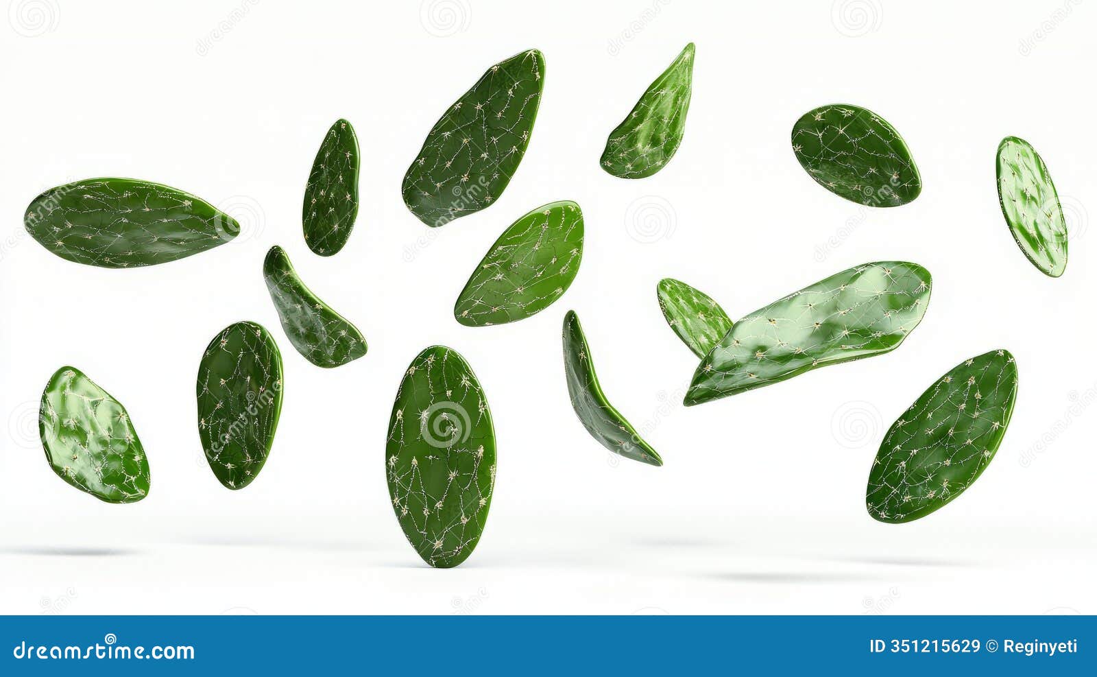 HighQuality Realistic 3D Render Of Nopal Pieces Stock Photography ...
