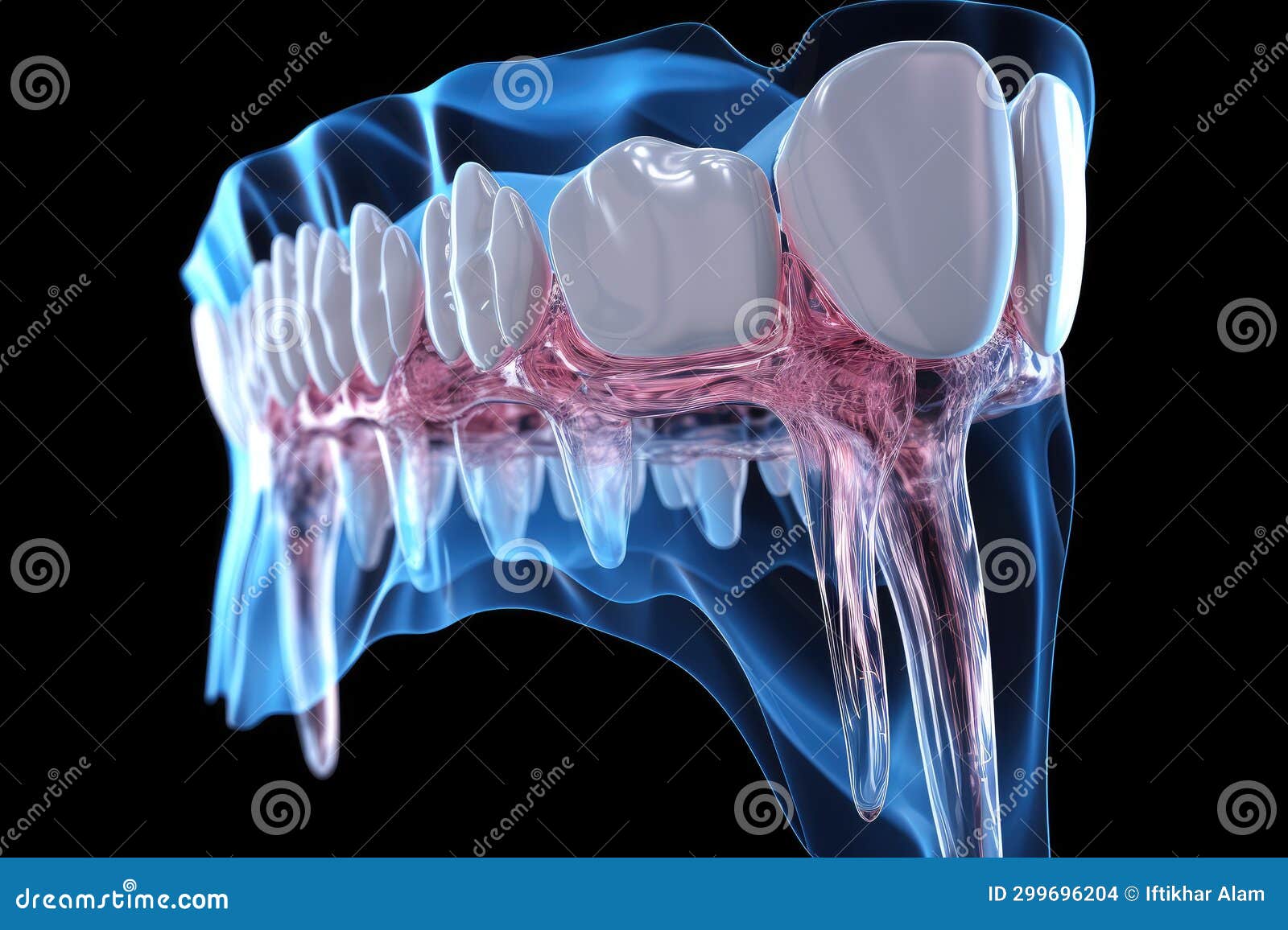 3d De Redare a Maxilarului Cu Dentură în Imagine Xray 3d De Redare a ...