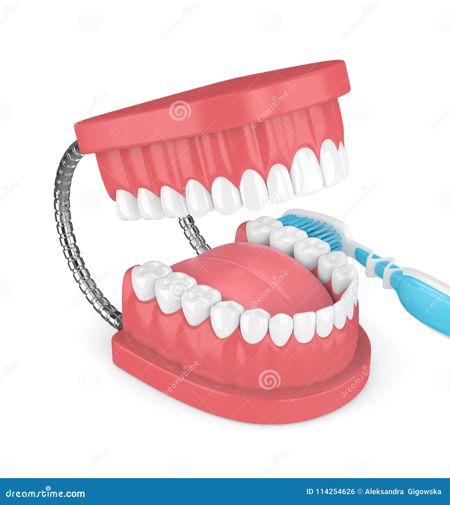 3d Render of Jaw Model with Toothbrush Over White Stock Illustration ...