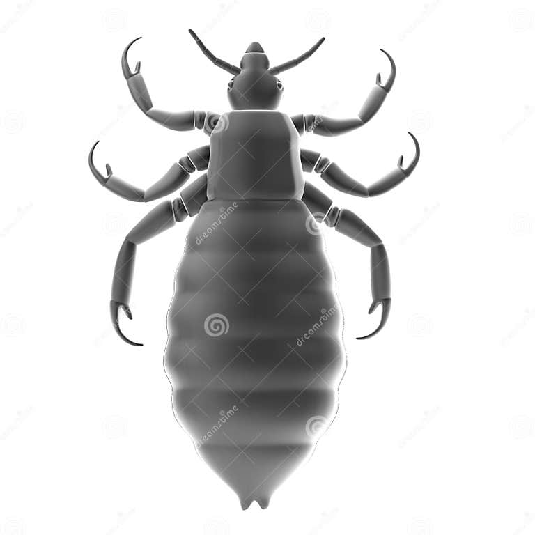 3d render of louse stock illustration. Illustration of lice - 40077907