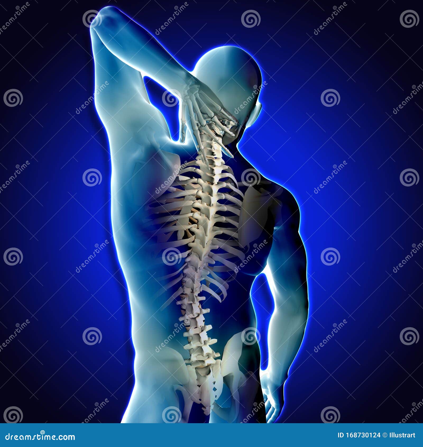 3D Render of a Male Medical Figure with Joints Highlighted Stock ...