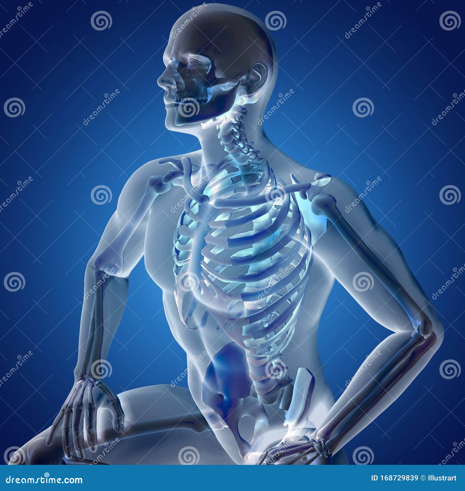 3D Render of a Male Medical Figure with Skeletal System Highlighted ...