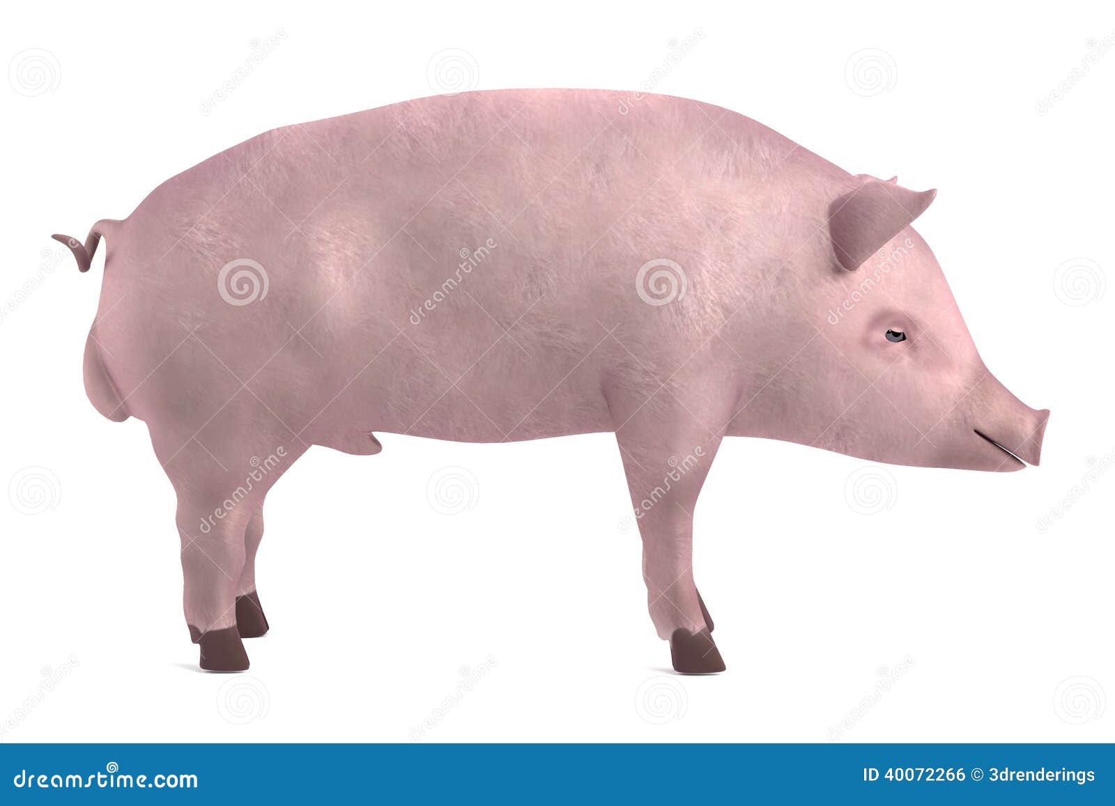 3d render of male pig stock illustration. Illustration of graphics ...