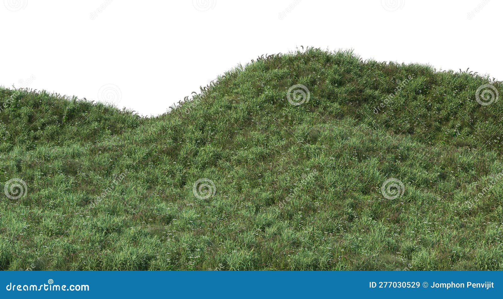 Meadow on a White Background Stock Illustration - Illustration of ...