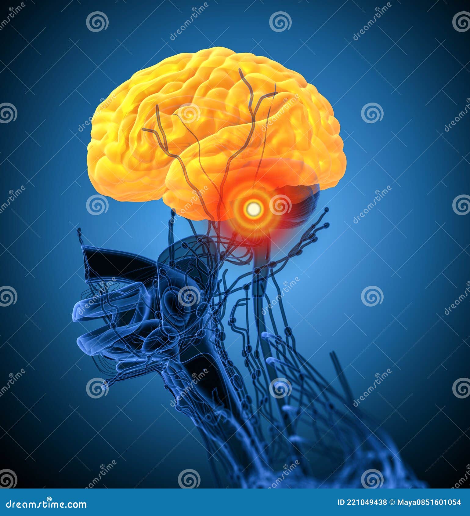 3d Render Medical Illustration of the Brain Stock Illustration ...