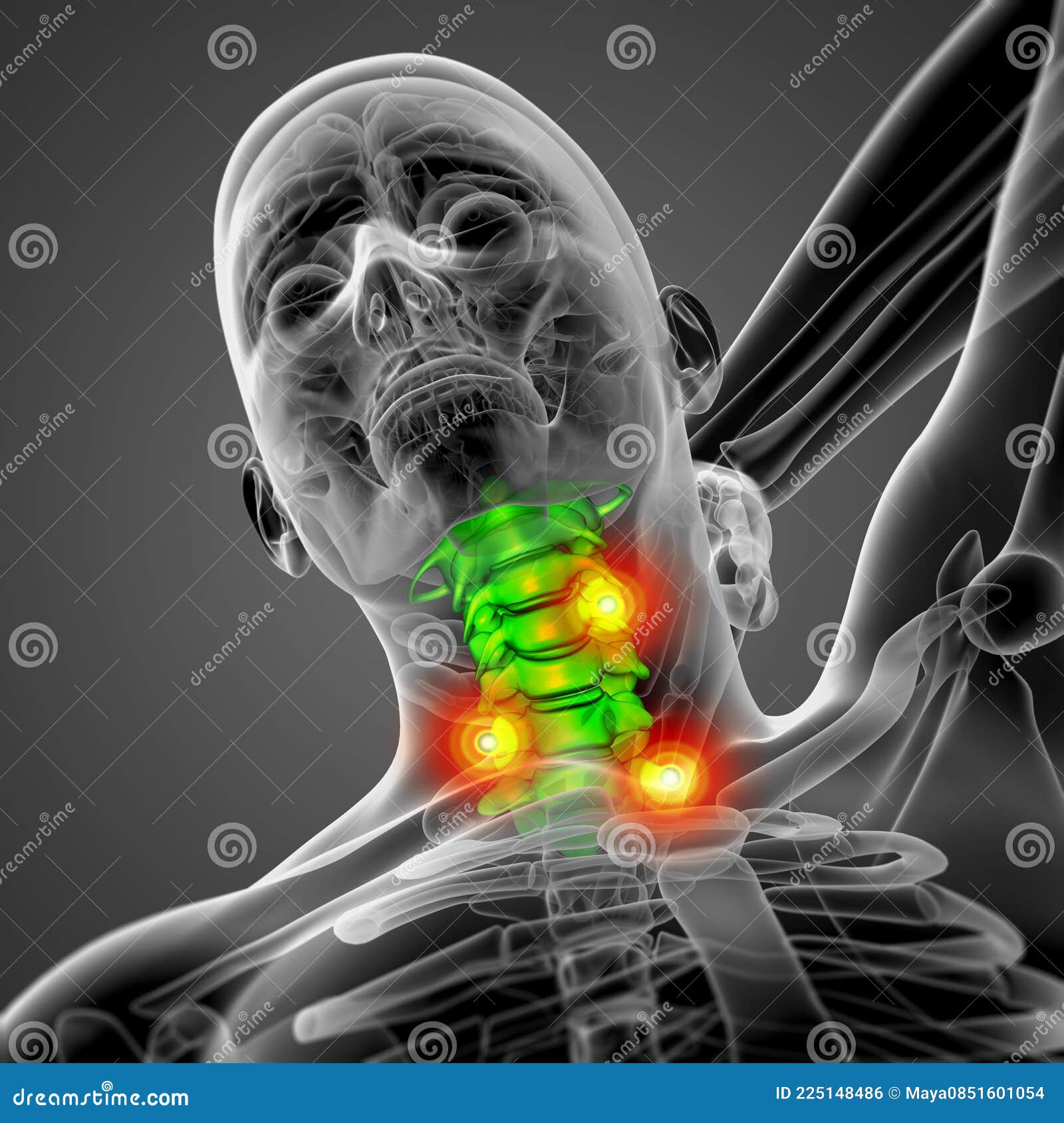 3d Render Medical Illustration of the Cervical Spine Stock Illustration ...