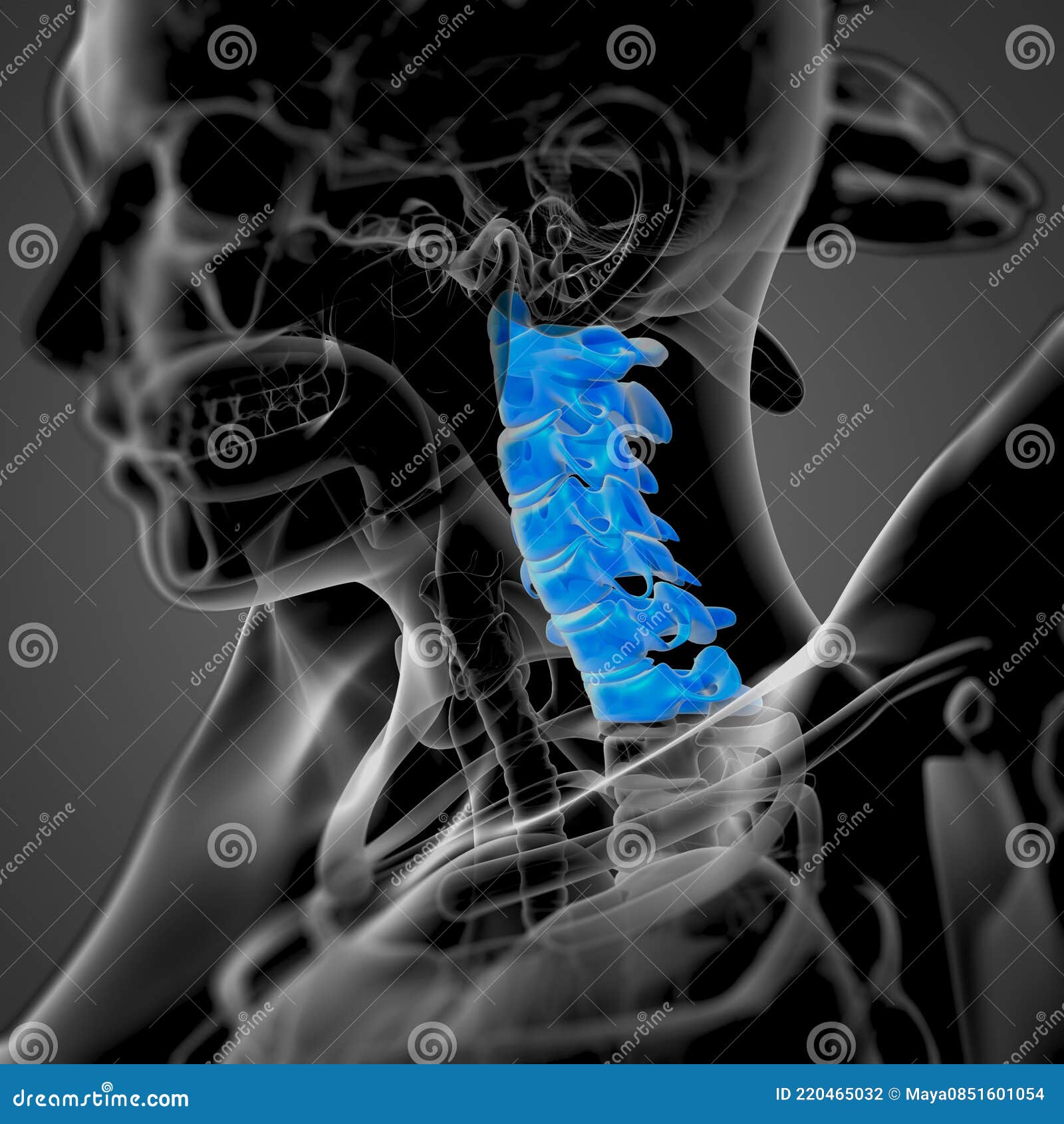 3d Render Medical Illustration of the Cervical Spine Stock Illustration ...