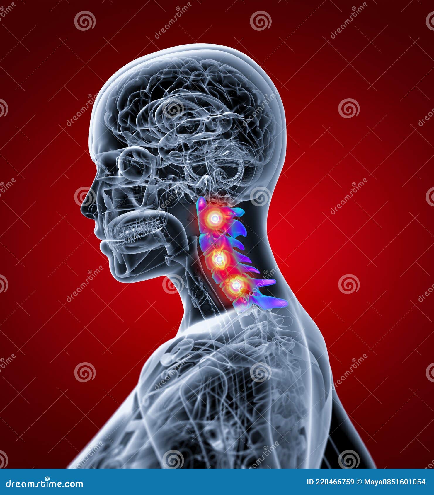3d Render Medical Illustration of the Cervical Spine Stock Illustration ...