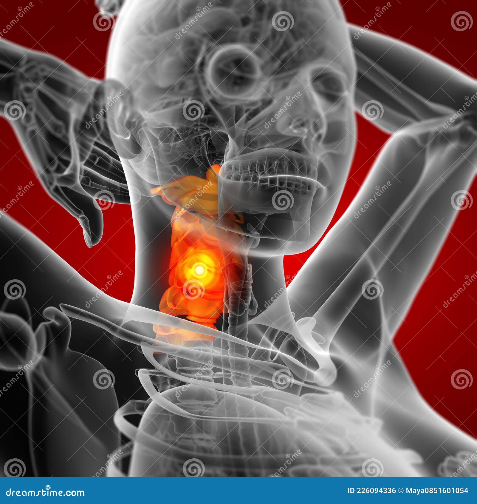 3d Render Medical Illustration of the Cervical Spine Stock Illustration ...