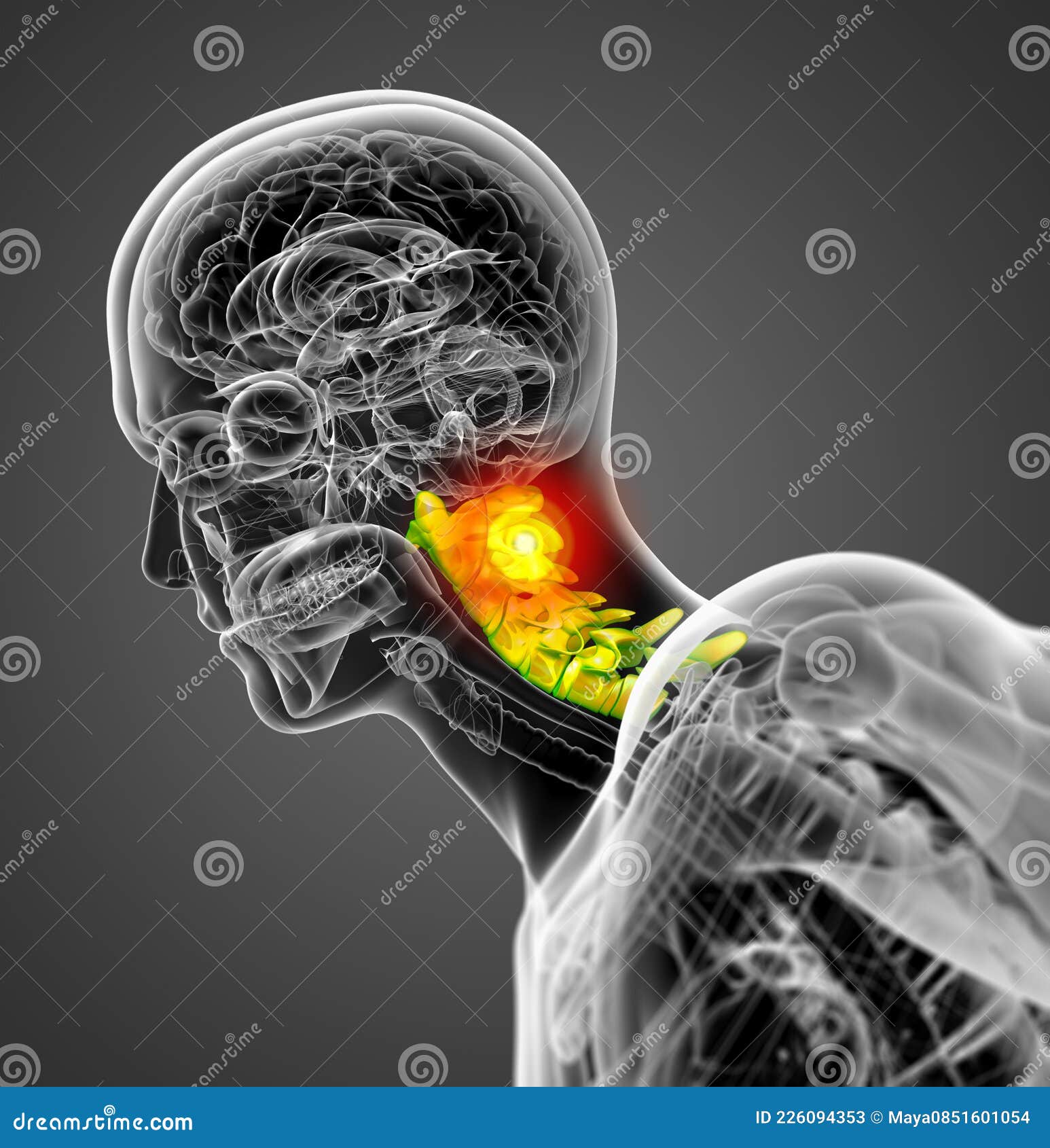 3d Render Medical Illustration of the Cervical Spine Stock Illustration ...