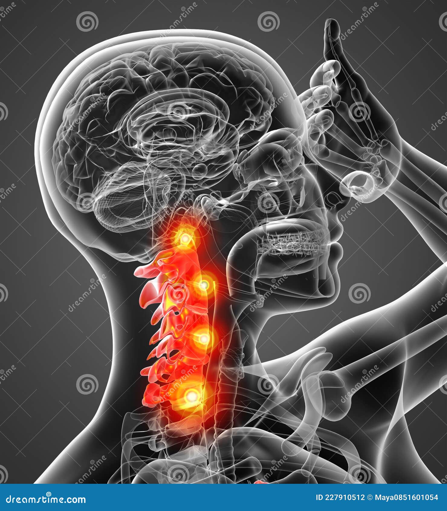 3d Render Medical Illustration of the Cervical Spine Stock Illustration ...