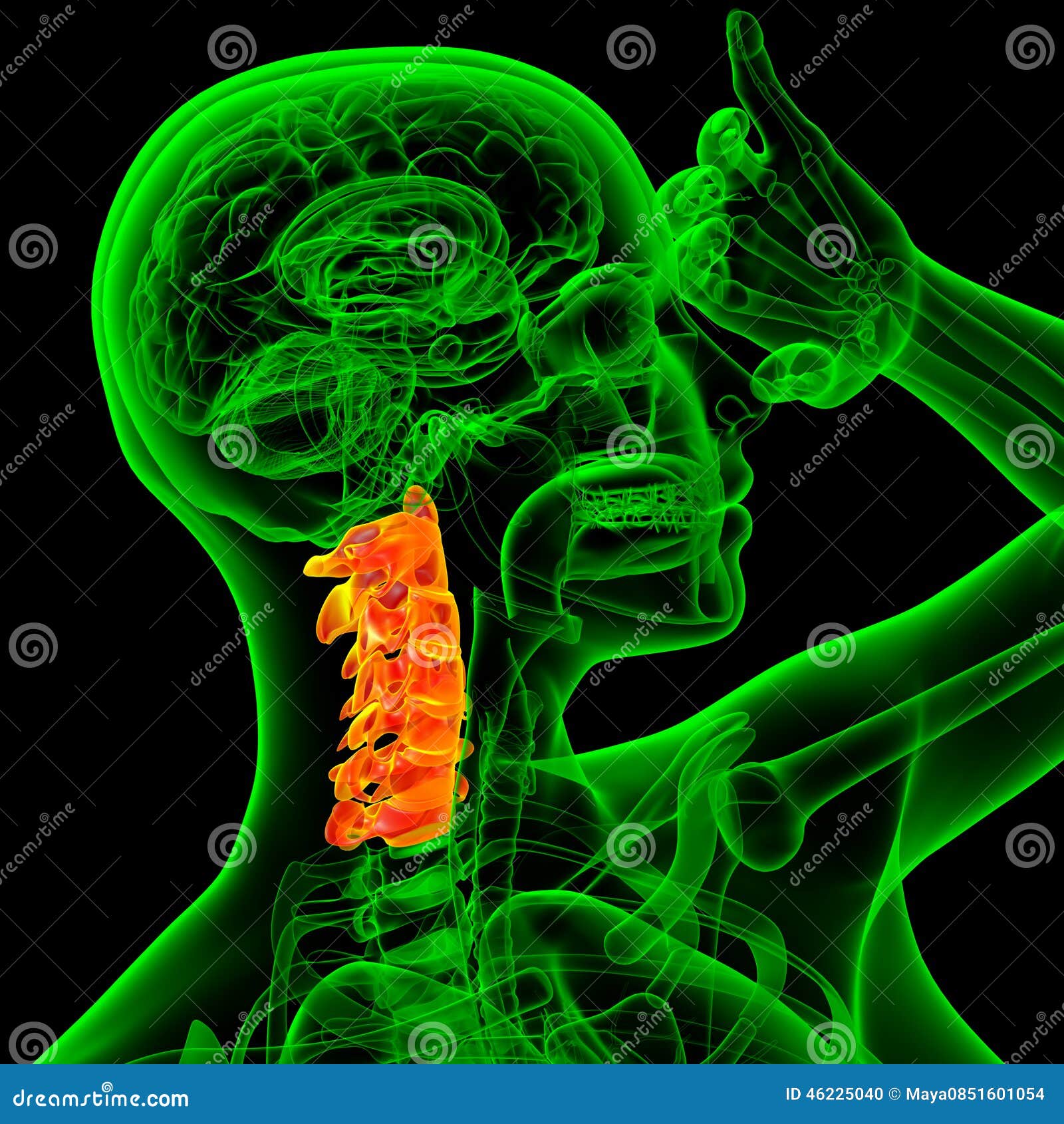 3d Render Medical Illustration Of The Cervical Spine Royalty-Free ...