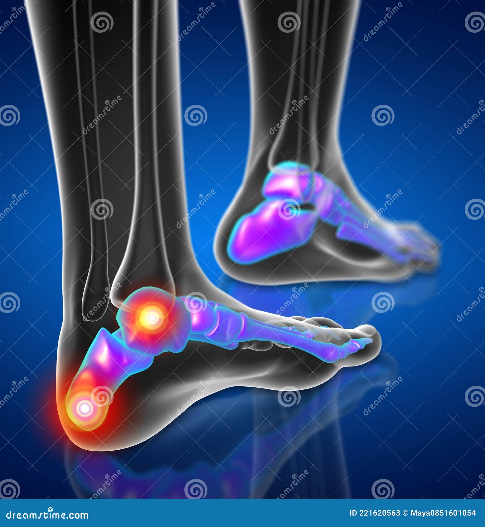 3d Render Medical Illustration of the Feet Bone Stock Illustration ...