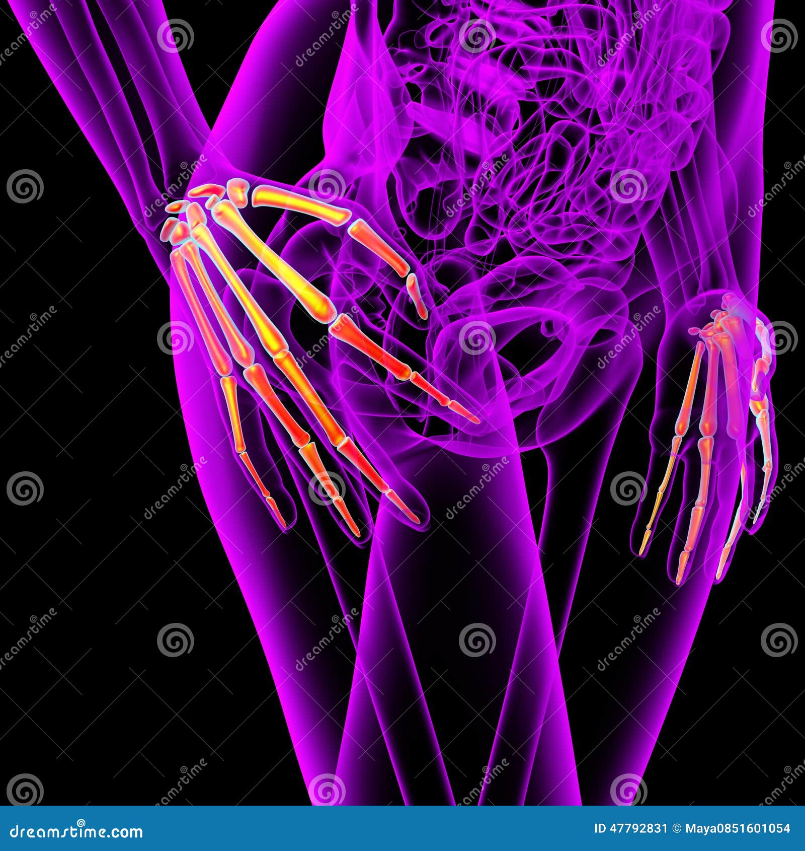 3d Render Medical Illustration of the Hand Bone Stock Illustration ...