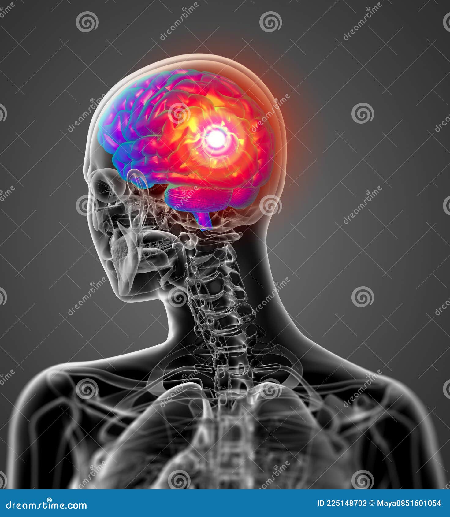 3d Render Medical Illustration of the Human Brain Stock Illustration ...