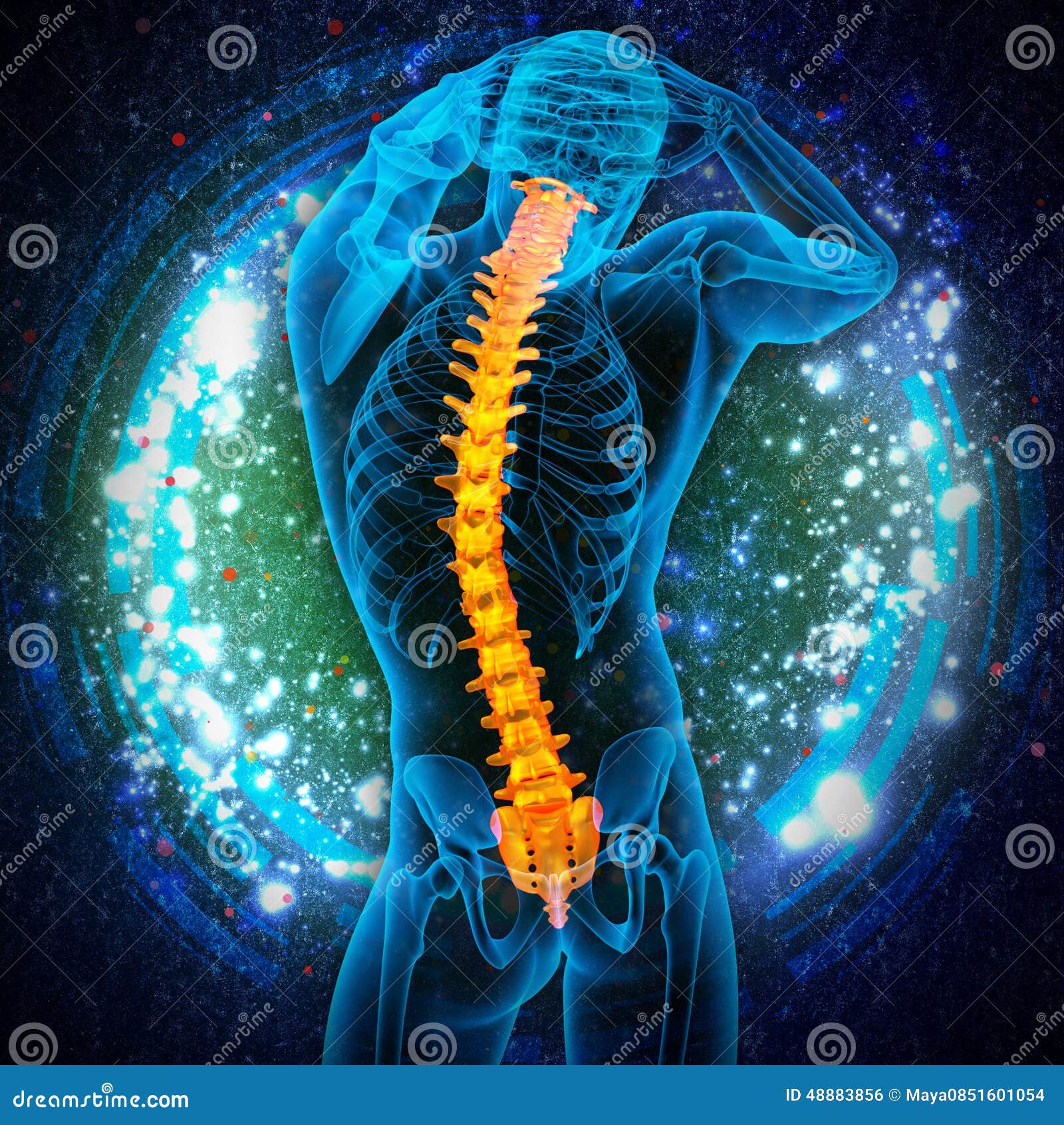 3d Render Medical Illustration of the Human Spine Stock Illustration ...