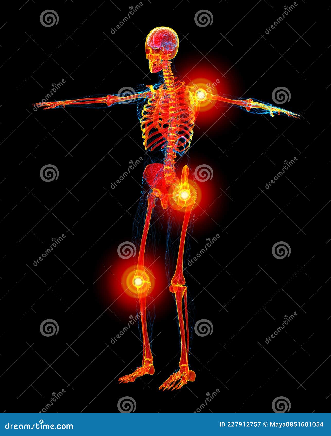 3d Render Medical Illustration of the Skeleton Bone Stock Illustration ...