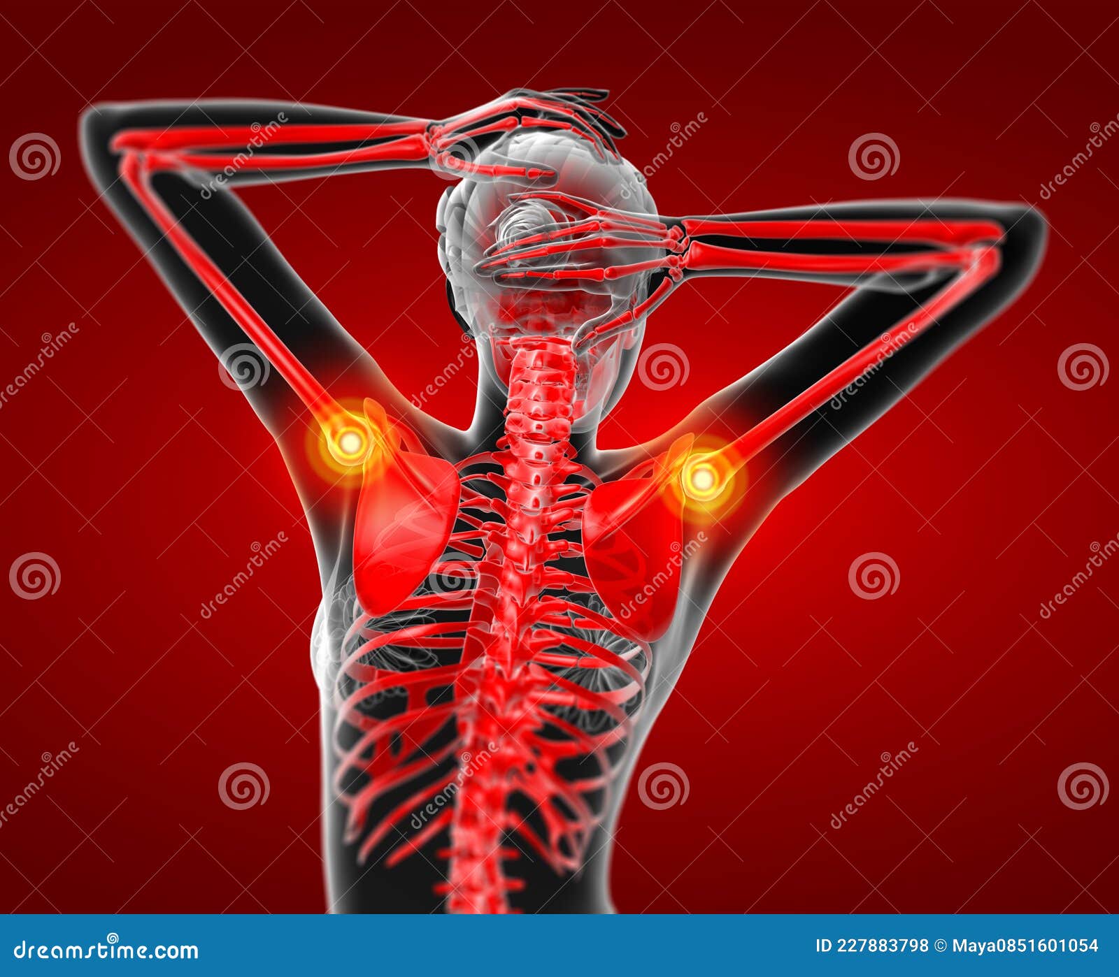 3D Rendering of Skeleton Human Stock Illustration - Illustration of ...
