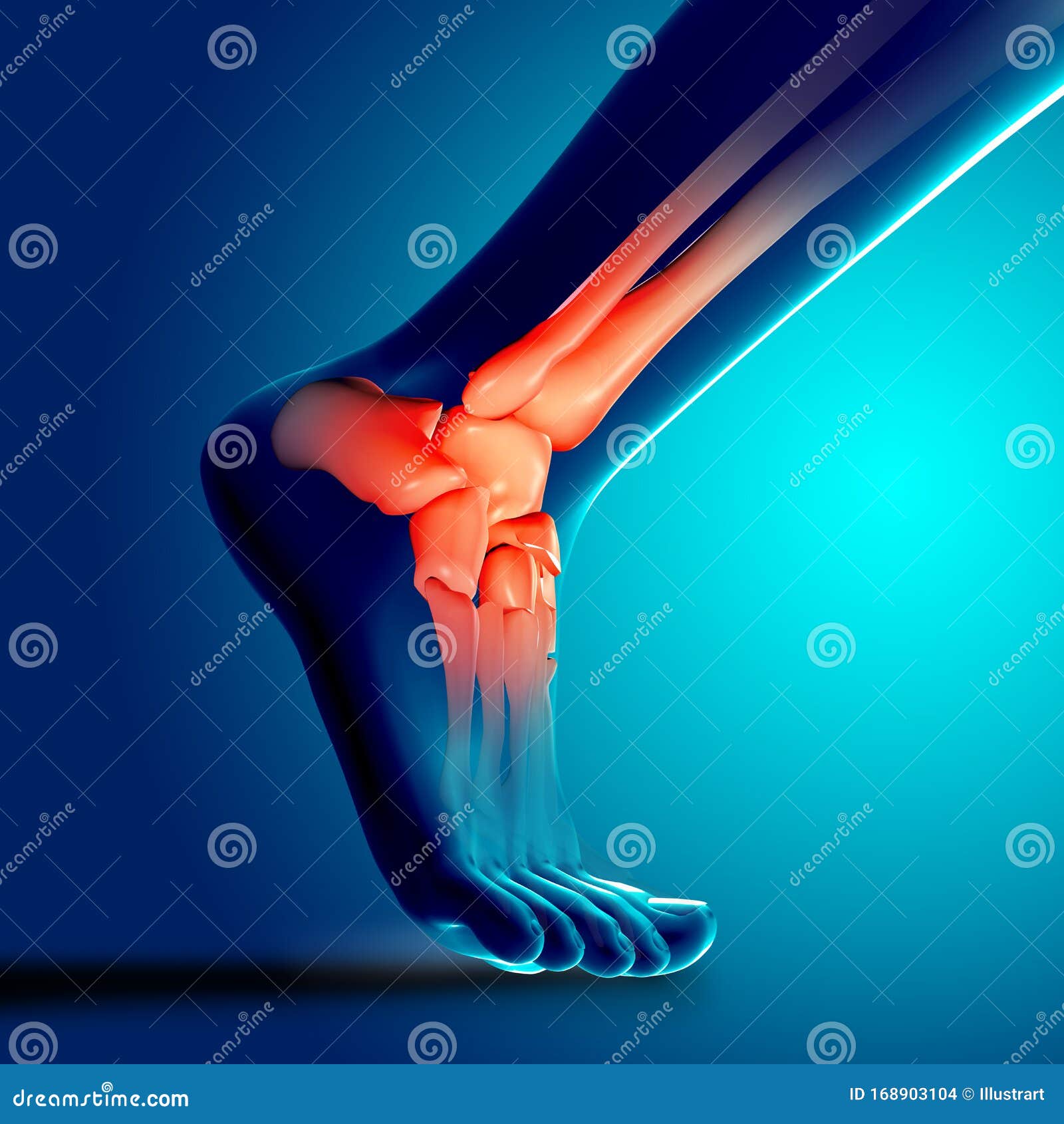 3D Render of a Medical Image of Close Up of Ankle Bone in Foot ...