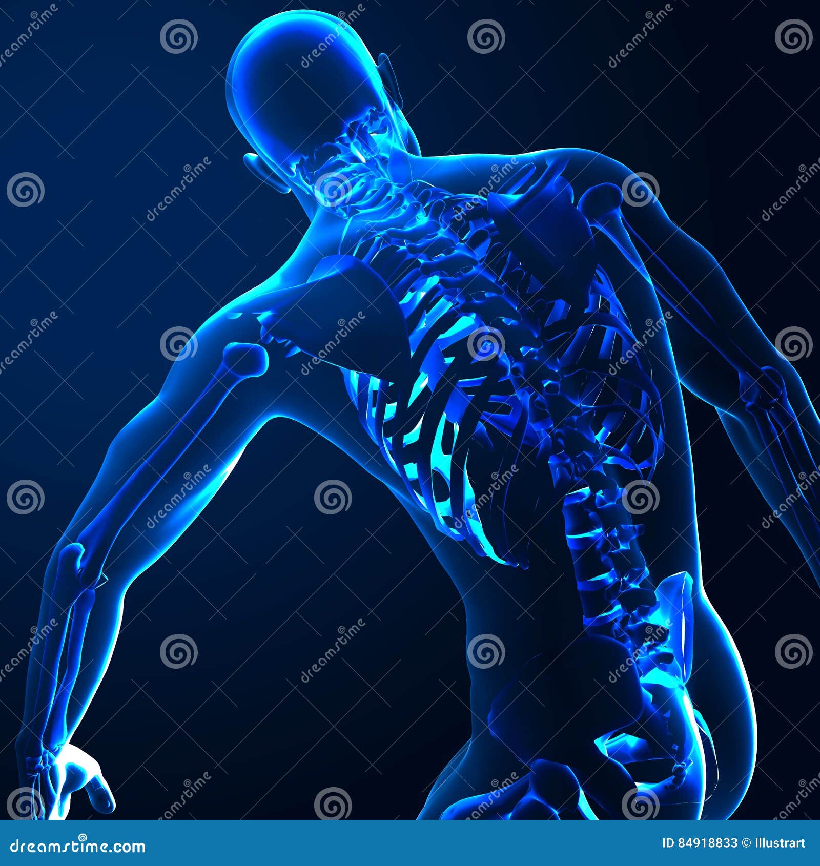 3d Render of a Medical Image of a Male Figure Stock Illustration ...
