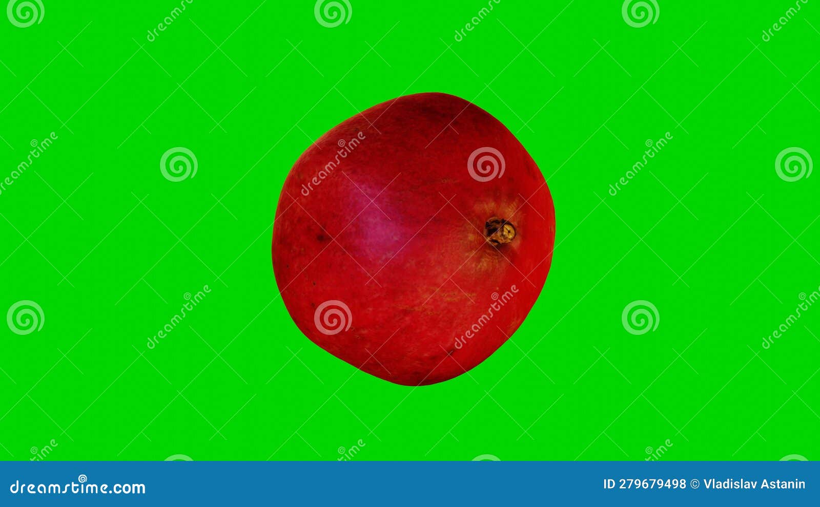 3d Render Model of a Pomegranate Fruit Rotating on a Green Screen Stock ...