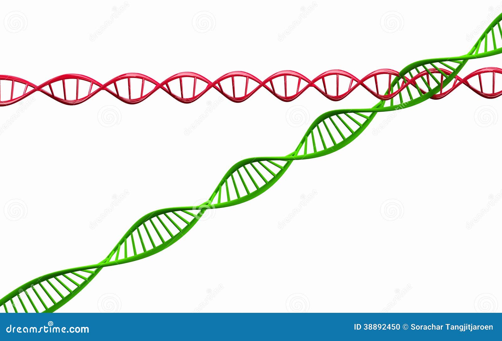 3d Render ,Model of Twisted DNA Chain Isolated. Stock Illustration ...