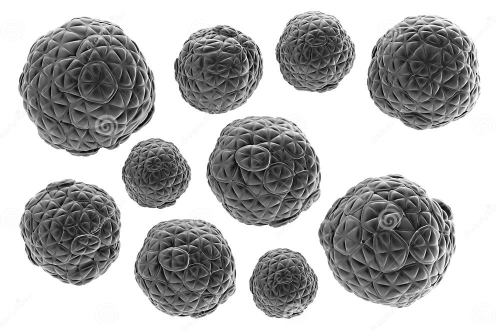 3d render of morula stock illustration. Illustration of object - 38975159