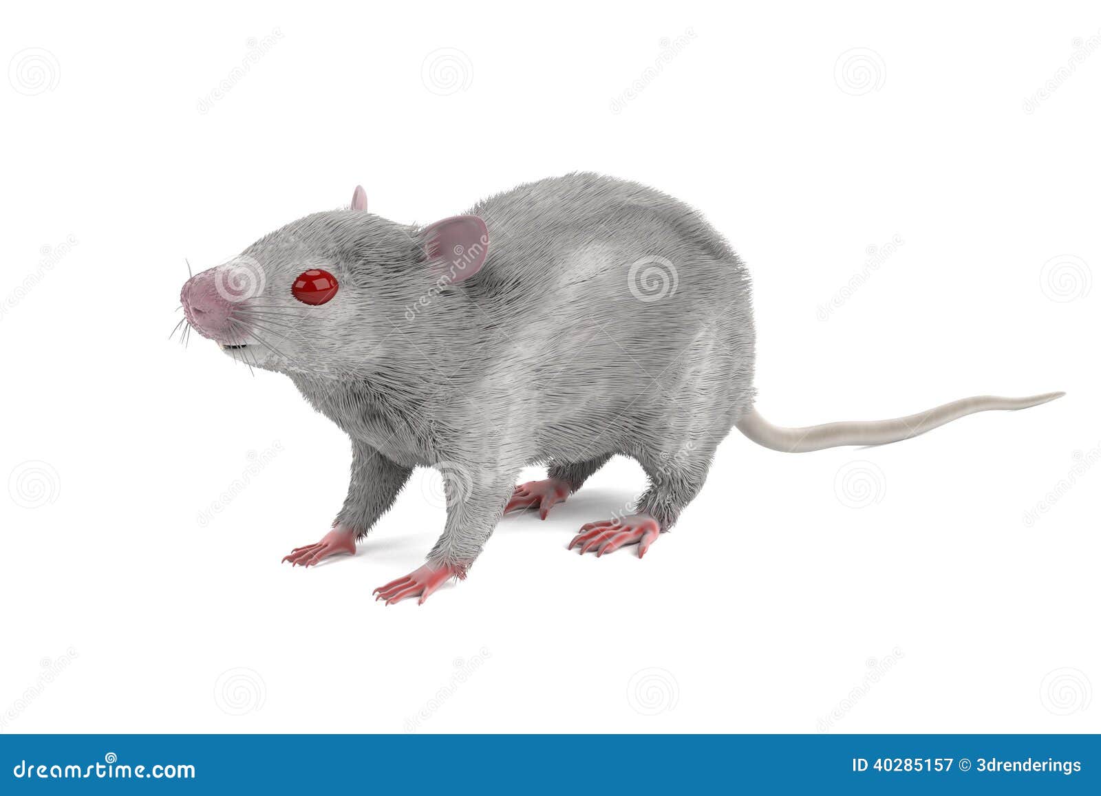 3d render of mouse stock illustration. Illustration of animal - 40285157