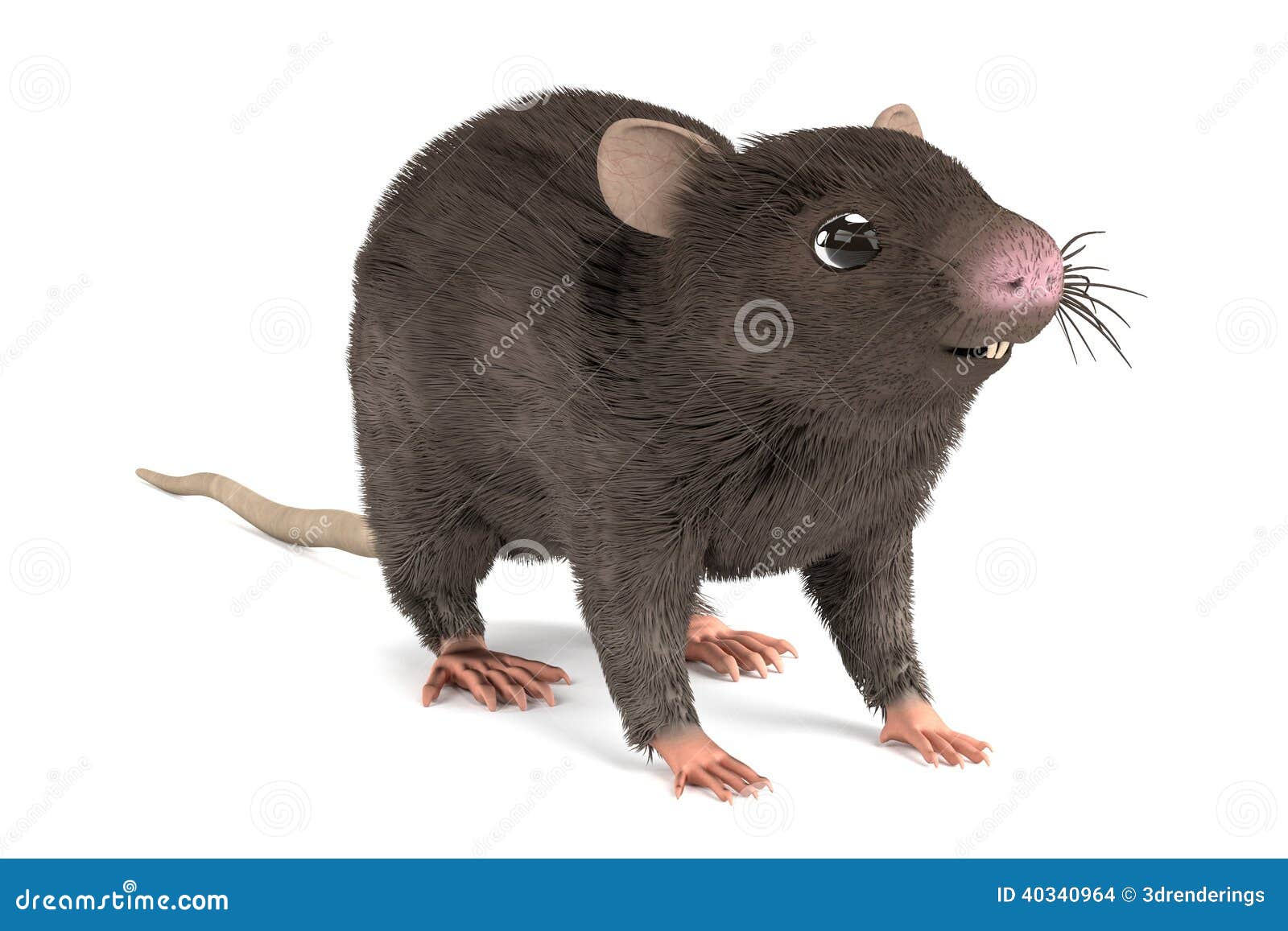 3d render of mouse stock illustration. Illustration of rodent - 40340964