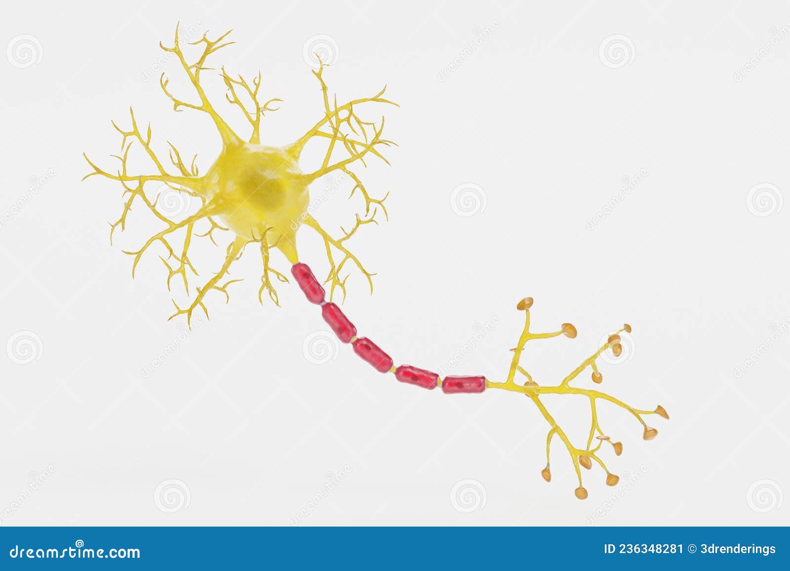 3D Render of Neuron stock illustration. Illustration of dendrites ...