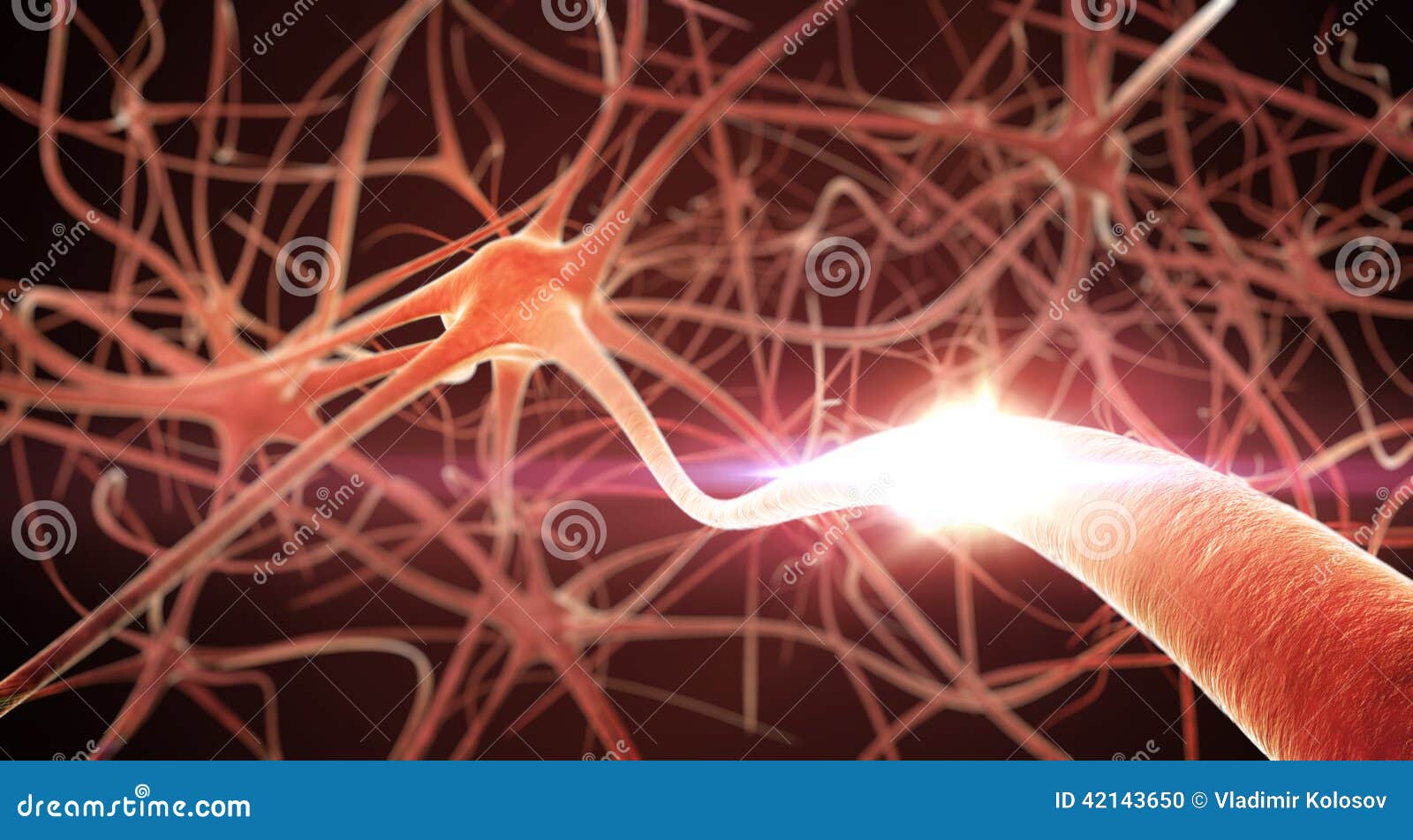 Neurons Network, Artificial Intelligence Digital Brain Synapse ...