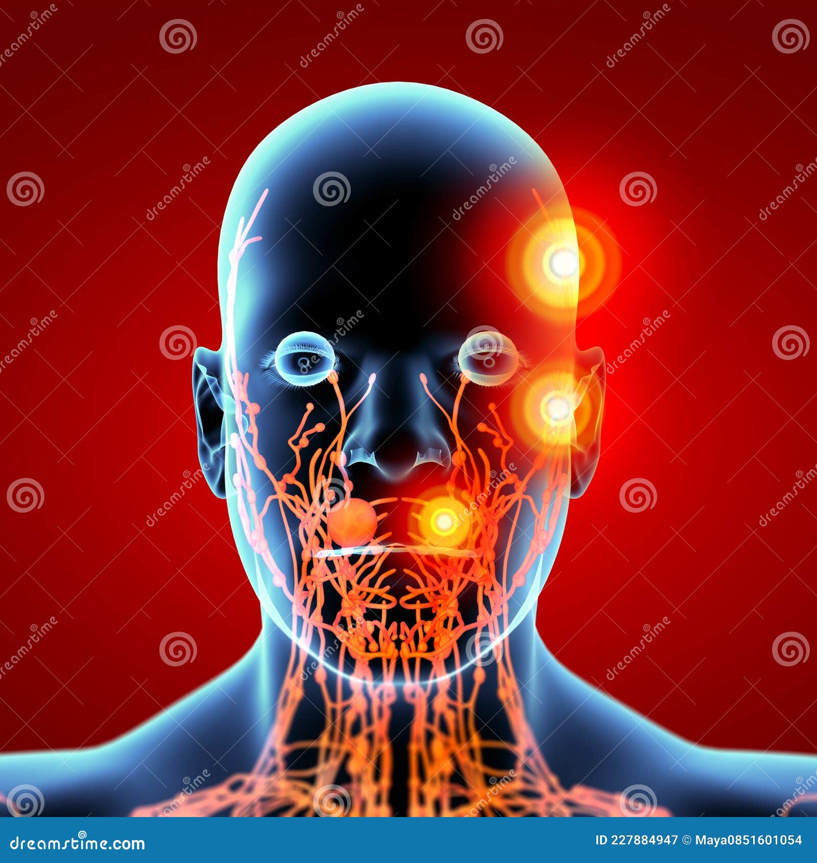 3D Rendering Illustration of Lymphatic System Stock Illustration ...