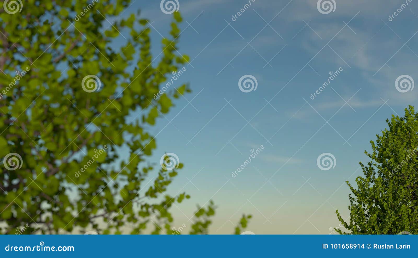 Out of Focus Tree Branches in Front of Sky, with in-focus Tree at the ...