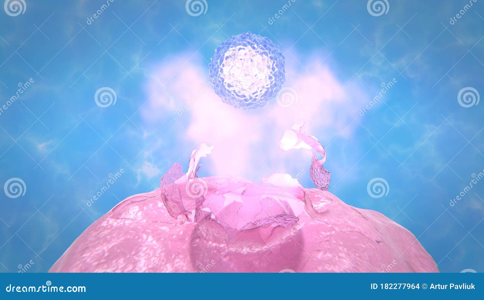 Illustration Of An Ovum Fertilization By Sperm 3D - Perfect For ...