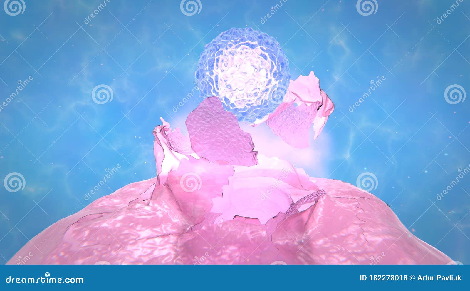 Illustration Of An Ovum Fertilization By Sperm 3D - Perfect For ...