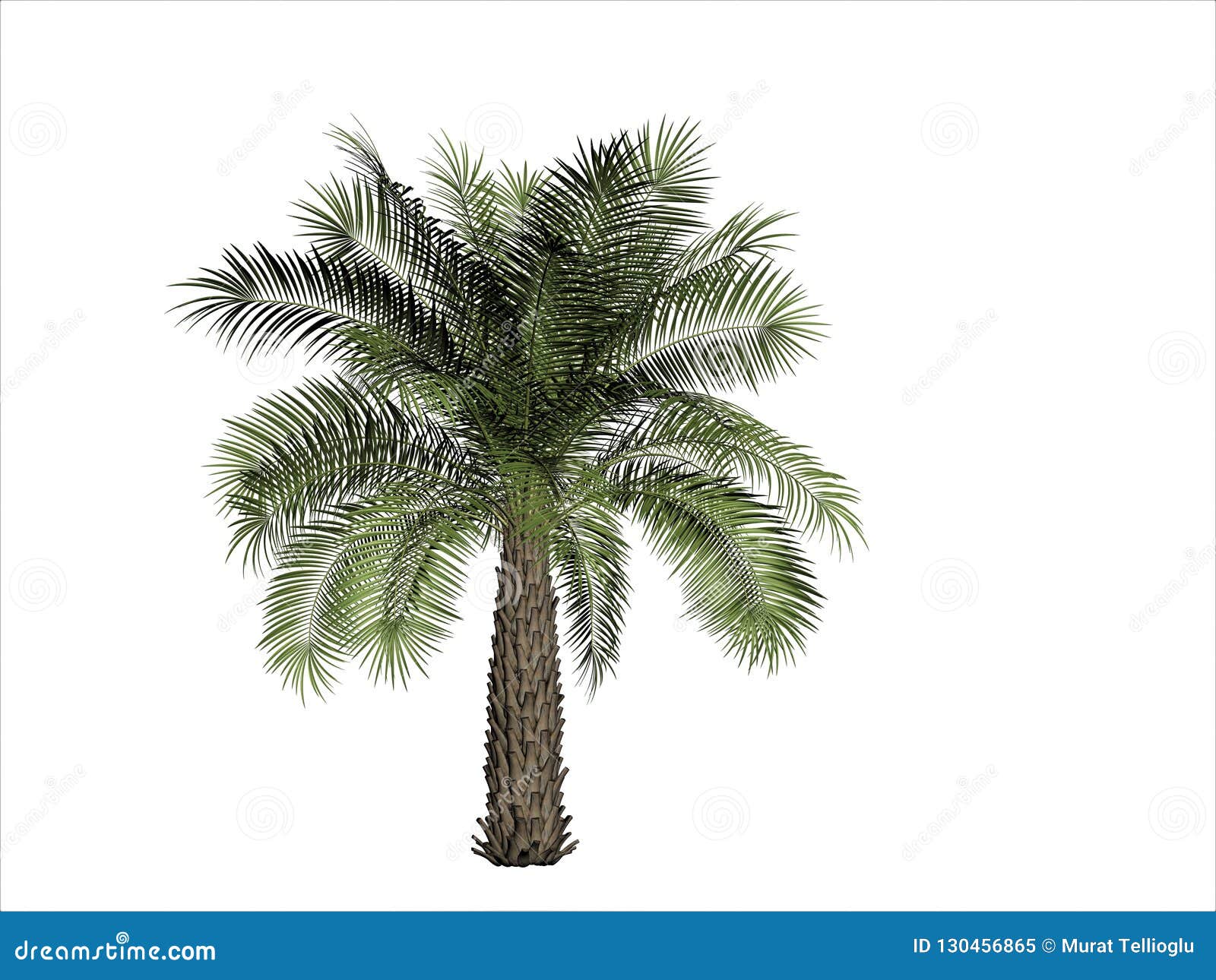 3d render of palm tree stock illustration. Illustration of grass ...