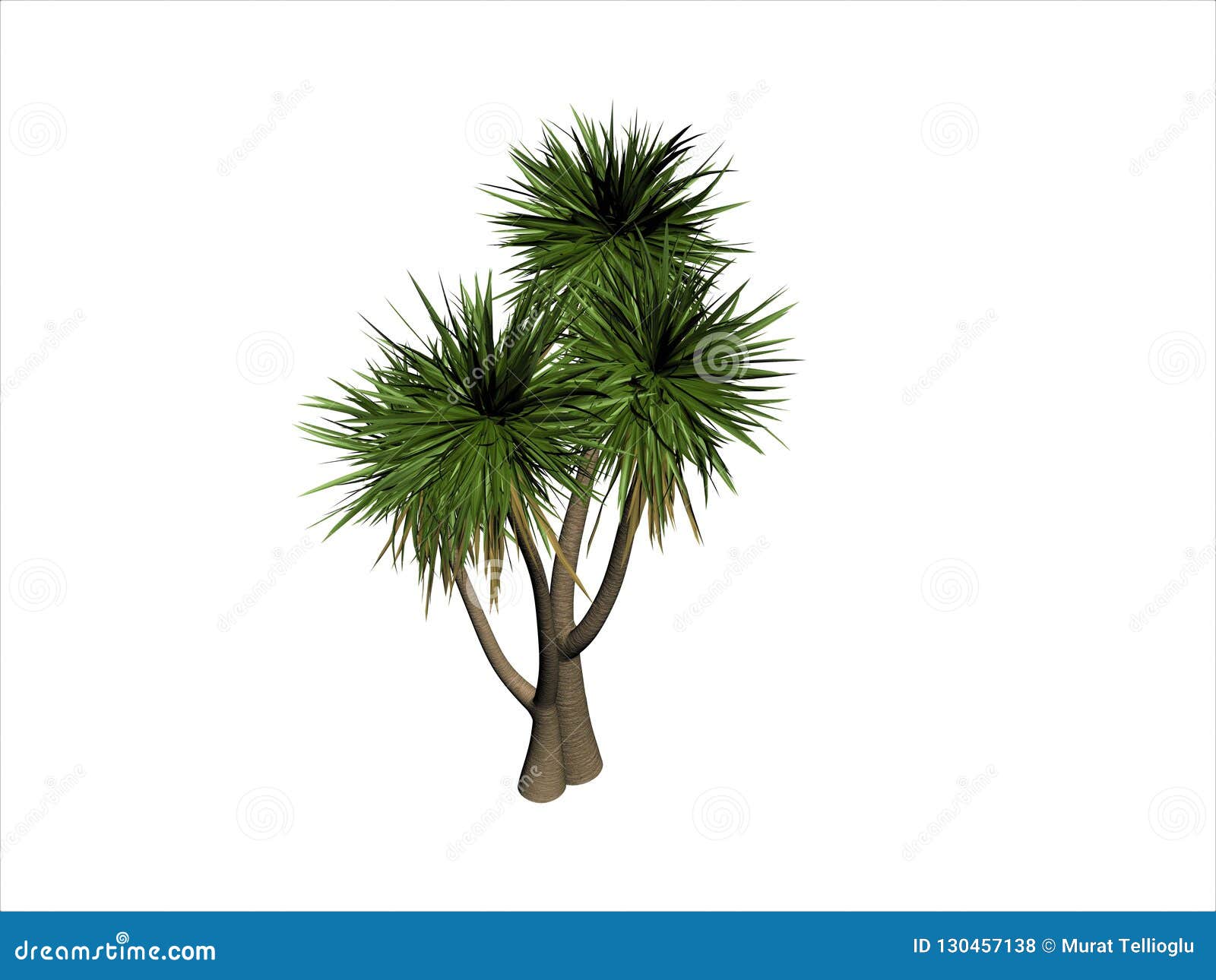 3d render of palm tree stock illustration. Illustration of isolation ...
