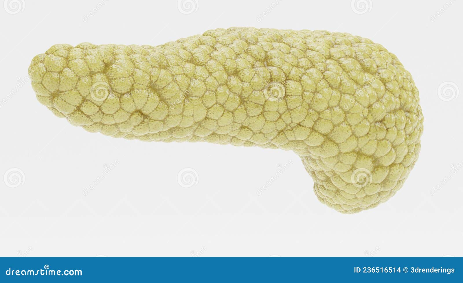 3D Render of Pancreas stock illustration. Illustration of medicine ...