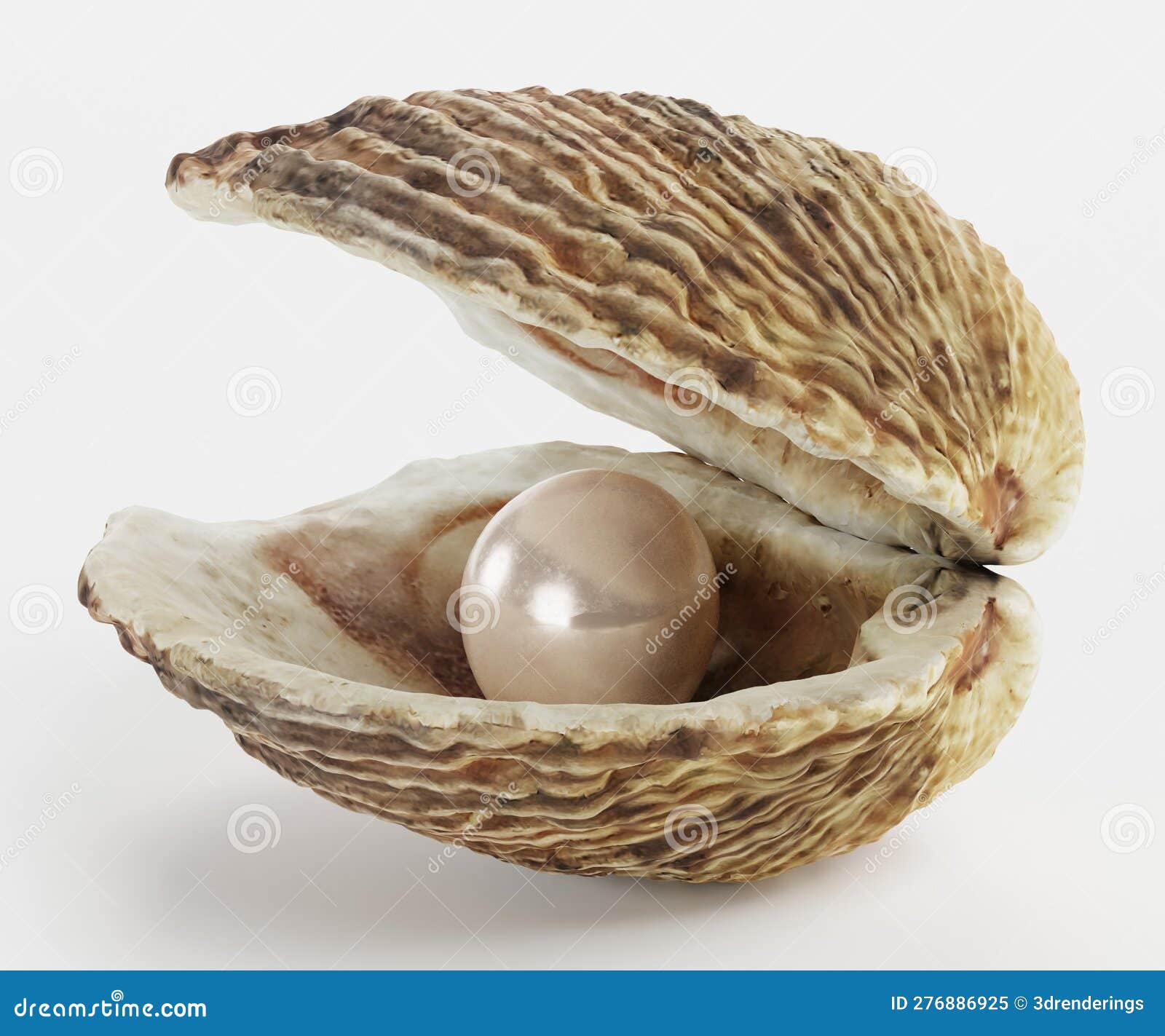 3D Render of Pearl in Shell Stock Illustration - Illustration of ocean ...