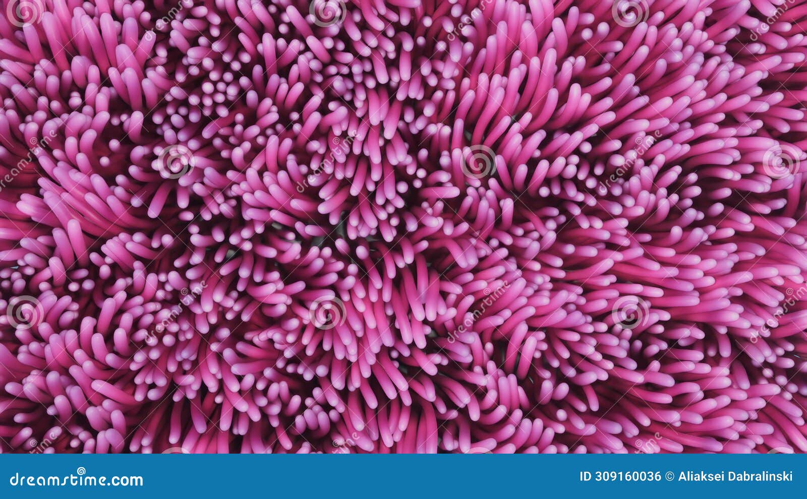 3d Render of Pink Algae Anemones Swaying Underwater Stock Illustration ...
