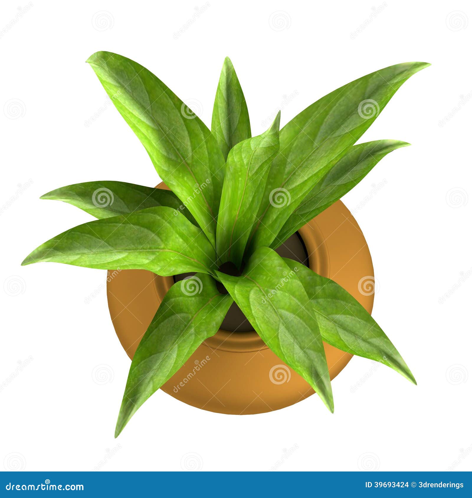 3d render of plant stock illustration. Illustration of home - 39693424