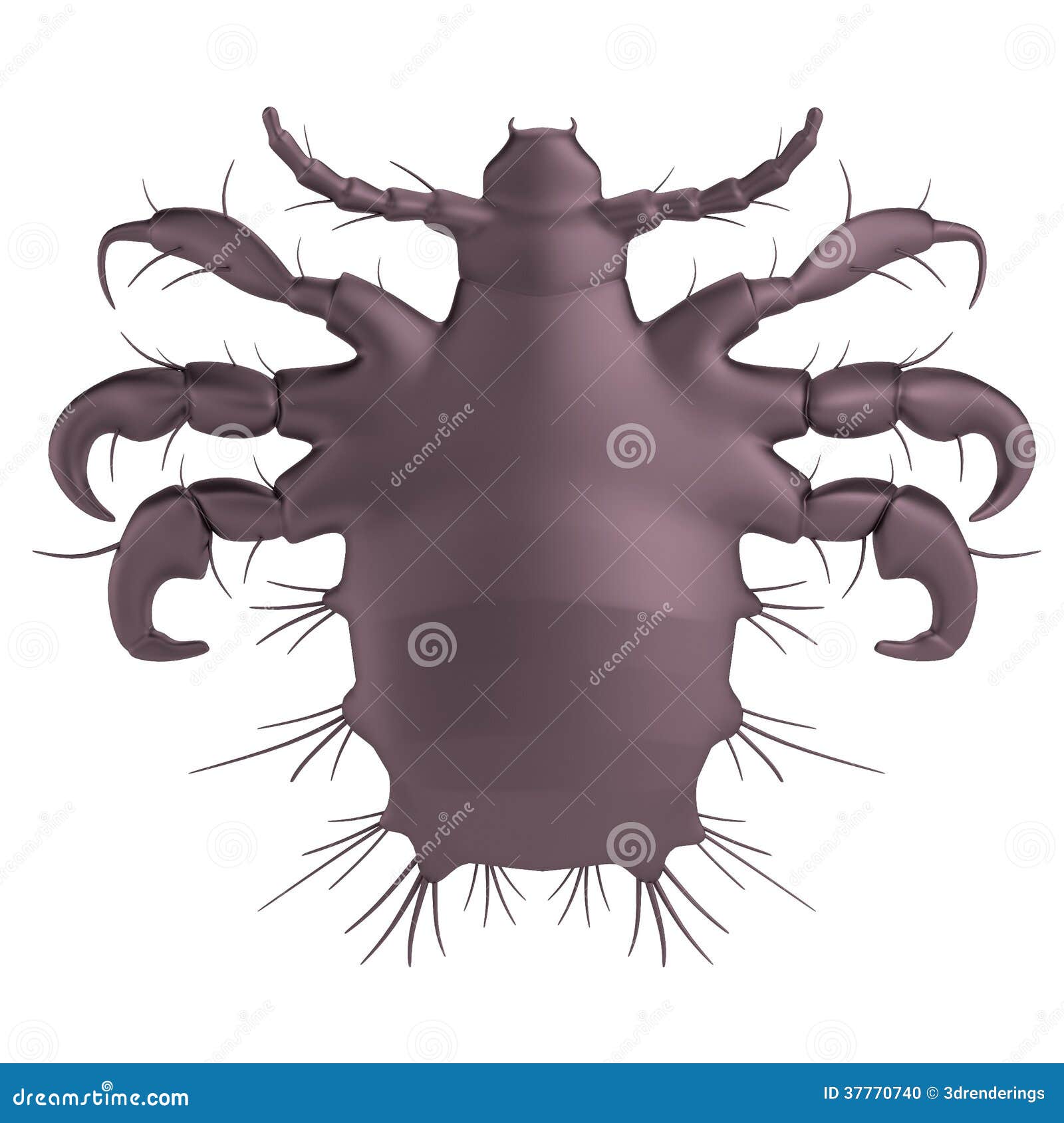 3d render of pthirus pubis stock illustration. Illustration of parasite ...