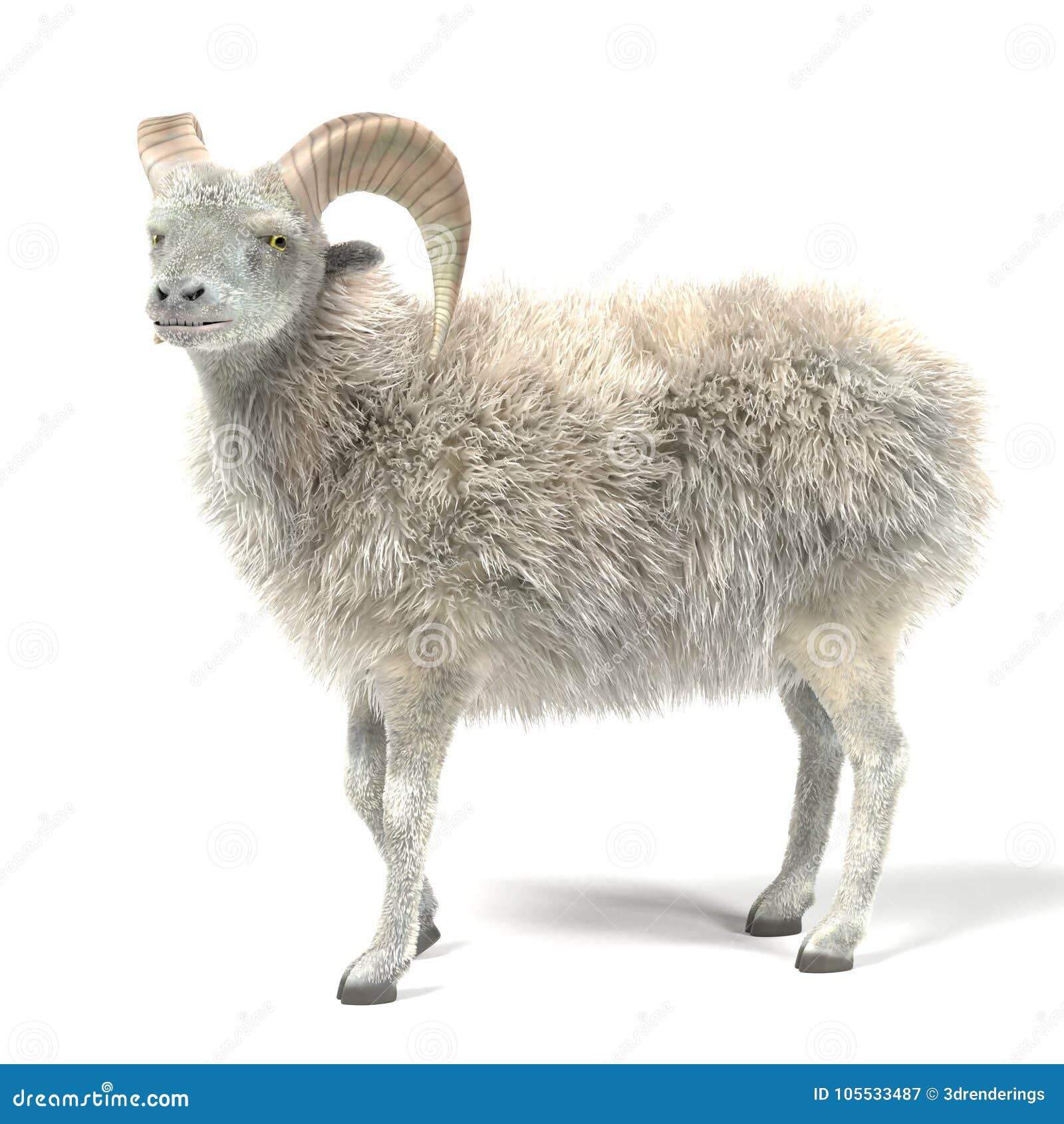 3D Render of Ram stock illustration. Illustration of argali - 105533487
