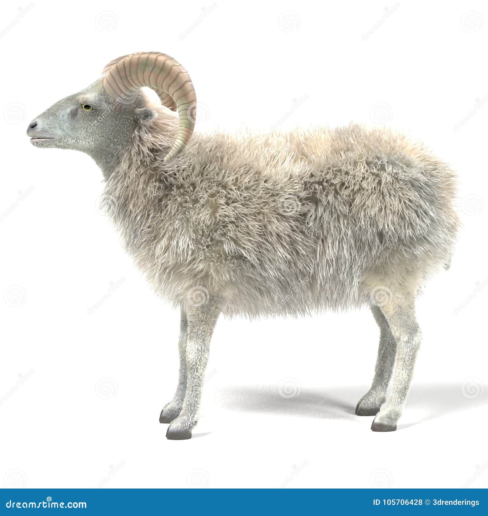 3D Render of Ram stock illustration. Illustration of ranch - 105706428