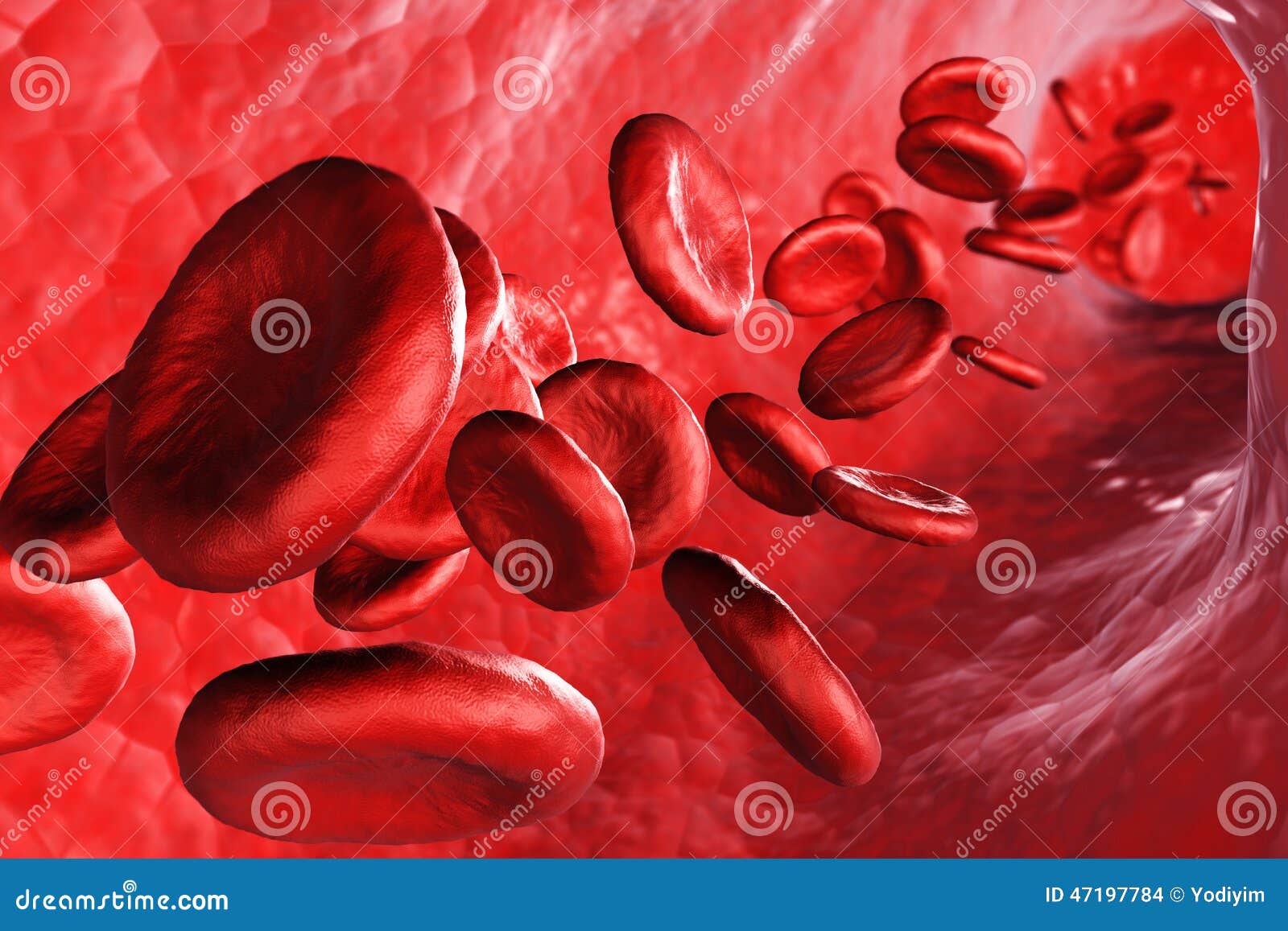 3d Render Red Blood Cells Background. Stock Illustration - Illustration ...