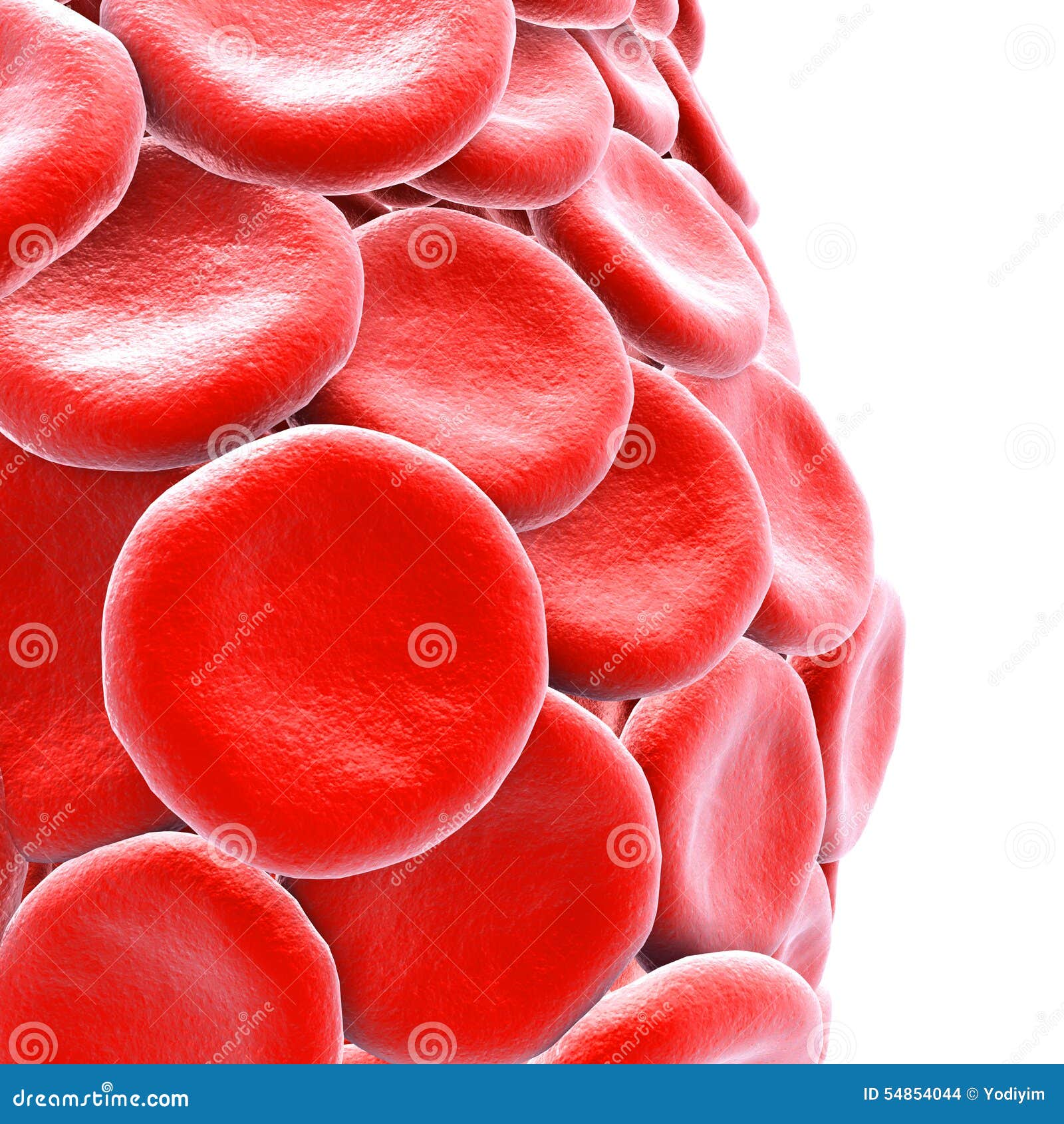 3d Render Red Blood Cells Background. Stock Illustration - Illustration ...