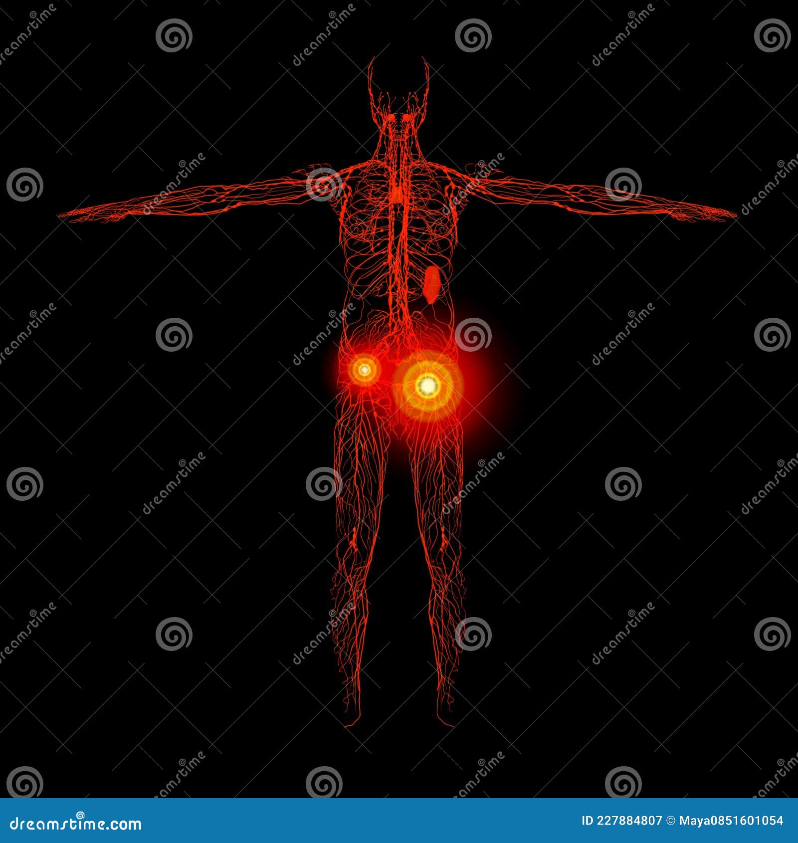 3D Rendering Illustration of Lymphatic System Stock Illustration ...