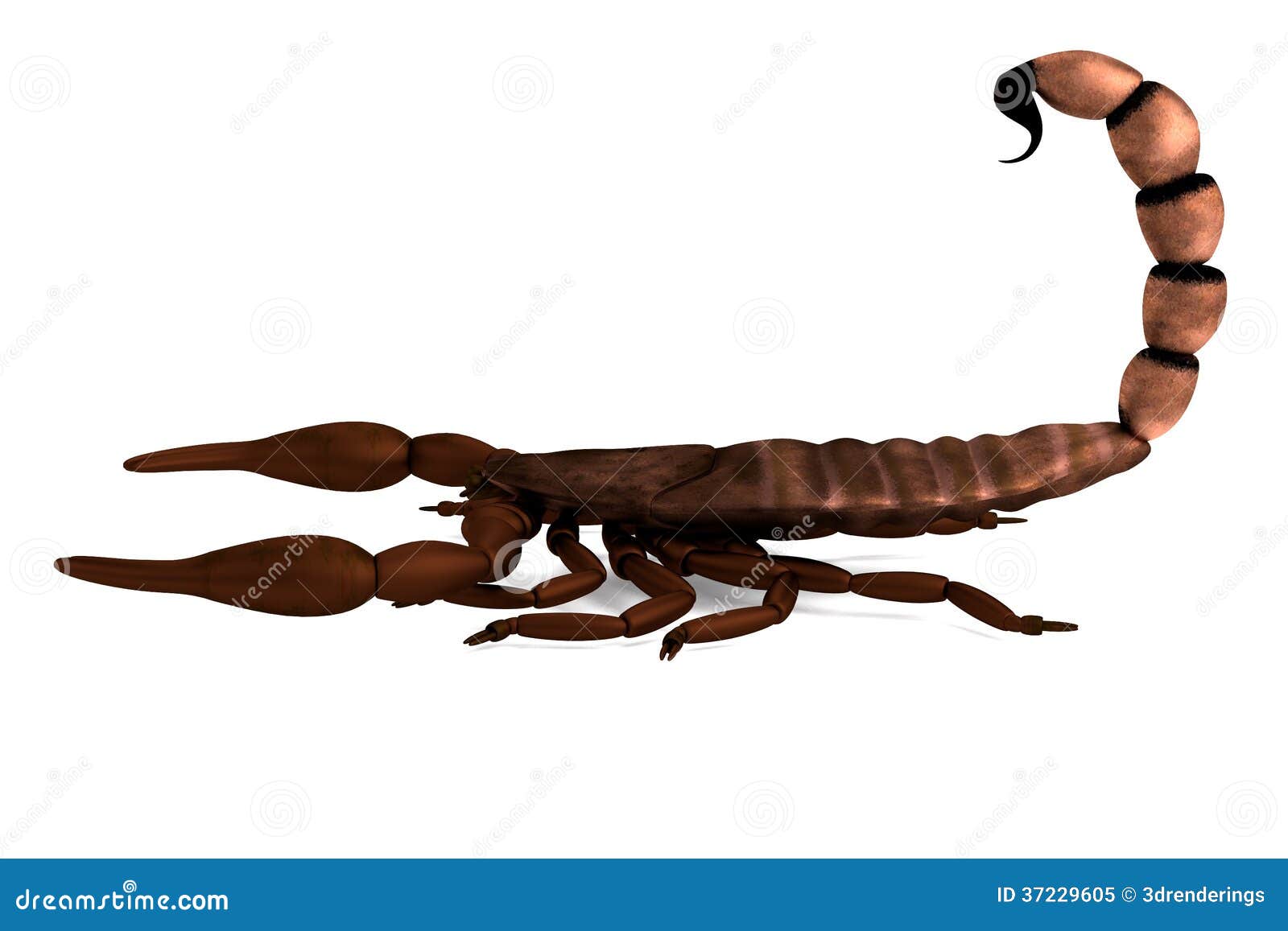 3d render of scorpion stock illustration. Illustration of realistic ...
