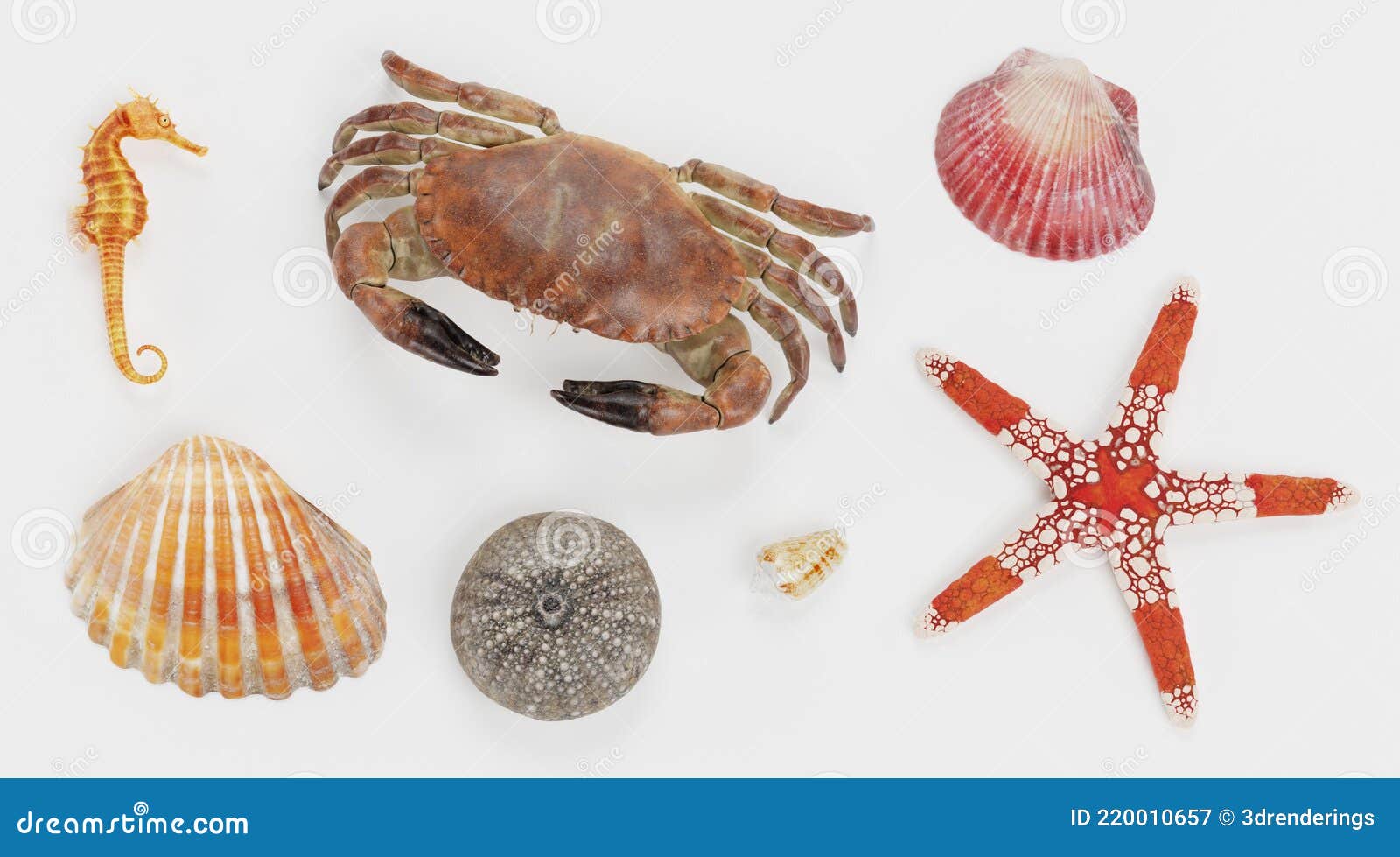 3D Render of Sea Animals stock illustration. Illustration of render ...