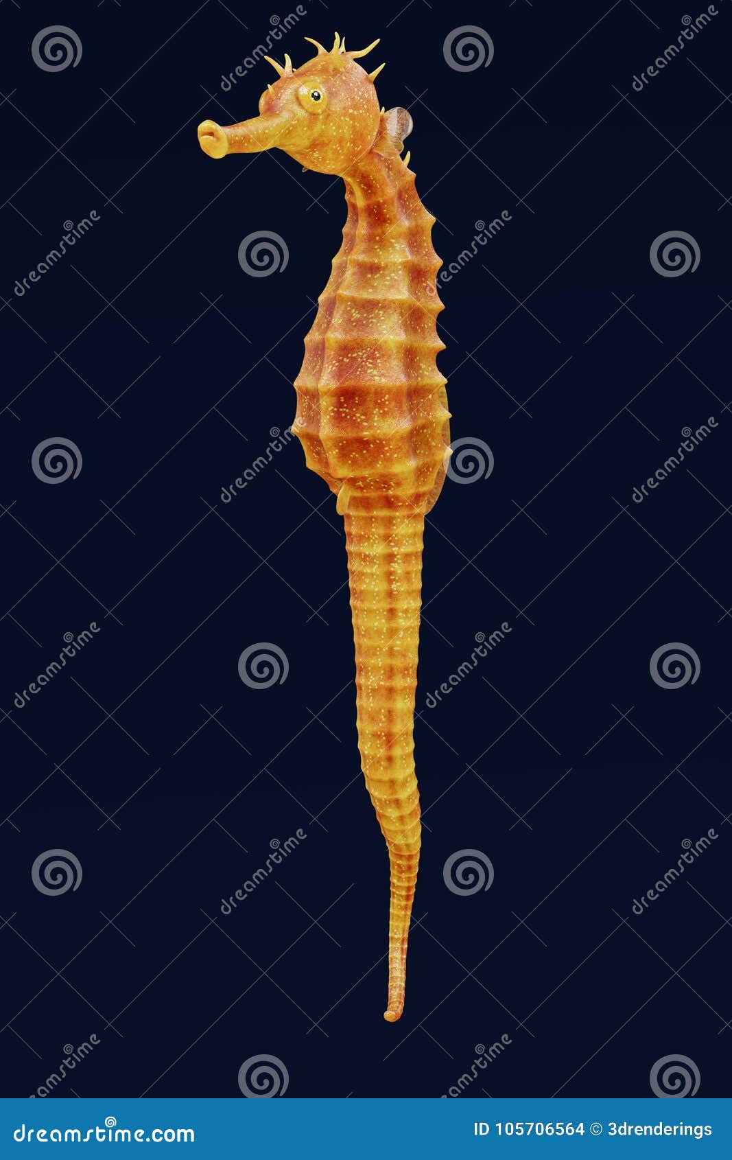 3D Render of Seahorse stock illustration. Illustration of water - 105706564